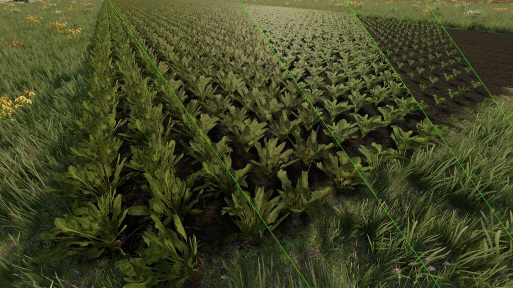 Grow Now V1 0 5 FS22 Mod Download Grow Now V1 0 5 FS22 Mod Download